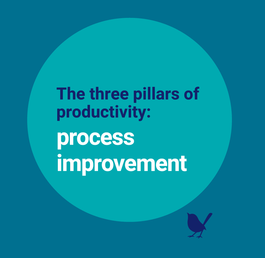 The three pillars of productivity: process improvement | Blue Wren